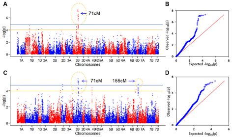 A C Manhattan Plots And B D Quantile Quantile Q Q Plots Of The Download Scientific