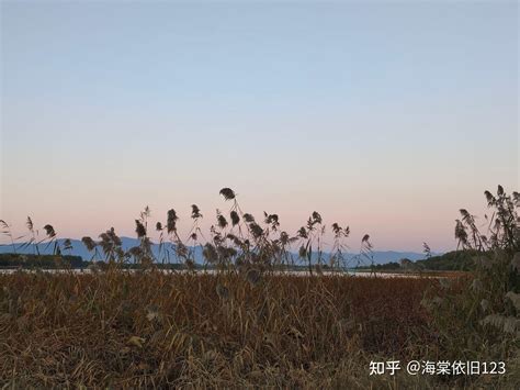 今天立冬了 知乎