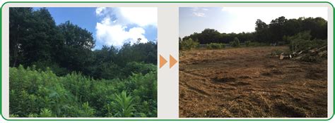 伐採・抜根作業 草刈屋 つくば店