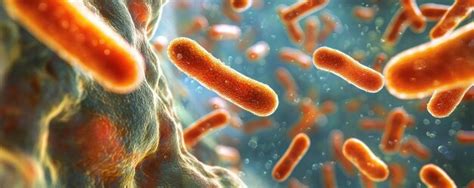 Detailed Magnified View Of Bacterial Biofilm With Copy Space For Text Premium Ai Generated Image