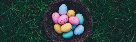 在vue中完美的使用高德地图 知乎