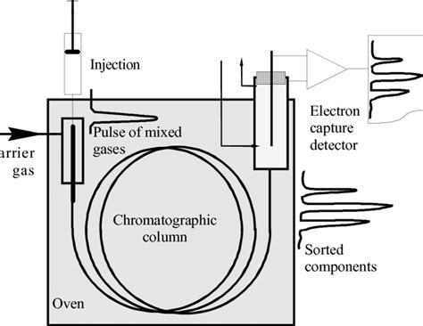 Principle Of The Gas Chromatographer Shown With An Electron Capture Download Scientific