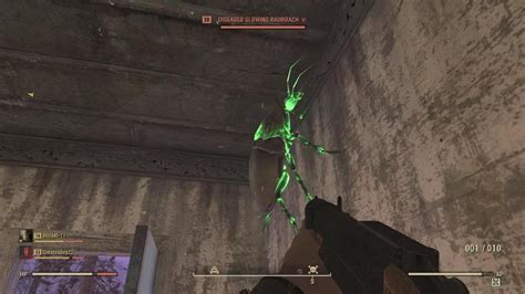 Friendly Radroach Youtube