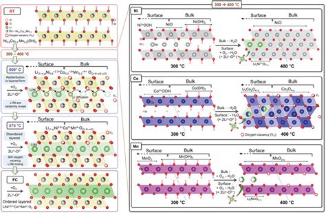 Scheme Demonstrating The Structural Evolution Induced By Limited