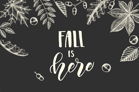 가을 문자 서예 문구 가을은 여기에 있습니다 글자 스케치 손으로 그린 낙서는 단풍 나무 자작 나무 밤 도토리 재 나무 참나무를 나뭇잎 삽화 11월에 대한 스톡 벡터 아트 및