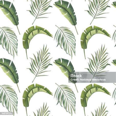 야자수와 바나나 잎이 있는 수채화 무늬 배경 없이 분리 열대 손으로 그린 클립 아트입니다 엽서 표지 직물 포장에 인쇄하기 위한 수채화 그림 0명에 대한 스톡 벡터 아트 및