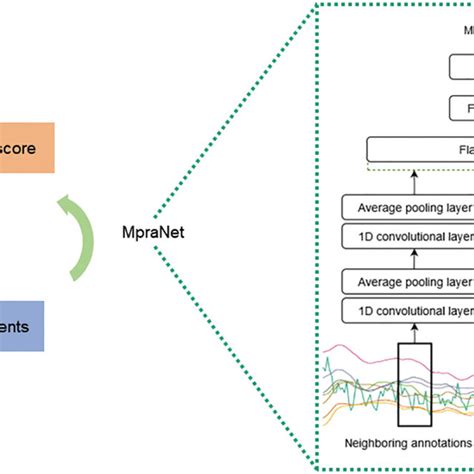 Mpranet Architecture The Mpranet Model Takes As Input At Site Download Scientific Diagram