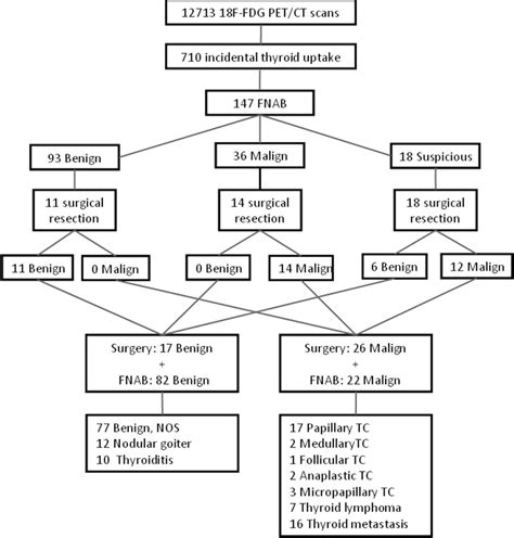 Thyroid Diagnosis Chart Ponasa