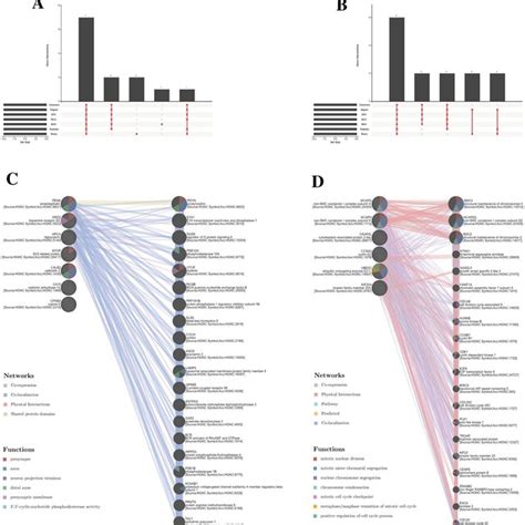Venn Diagram And Co Expression Network Of Hub Genes A Venn Diagram Download Scientific Diagram