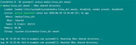 How To Access Virtualbox Shared Folder At Startup With Systemd In Linux Golinuxcloud