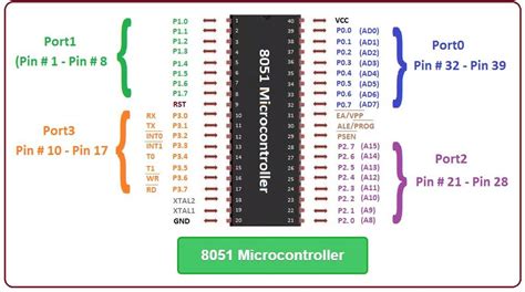 Lập Trình 8051 Gpio Bật Tắt Led Bằng Nút Nhấn Khuê Nguyễn Creator