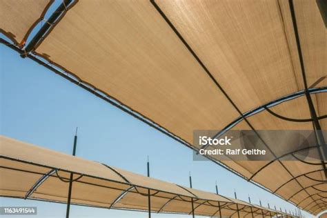 주차장이나 해변의 일광욕용 라운저 위에 그늘 기증자와 같은 대형 지붕 구조물 0명에 대한 스톡 사진 및 기타 이미지 0명 건설 산업 건축 Istock