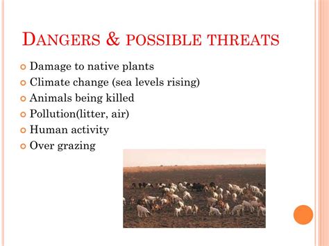 Ppt Ecosystem Project Sahara Desert Powerpoint Presentation Free