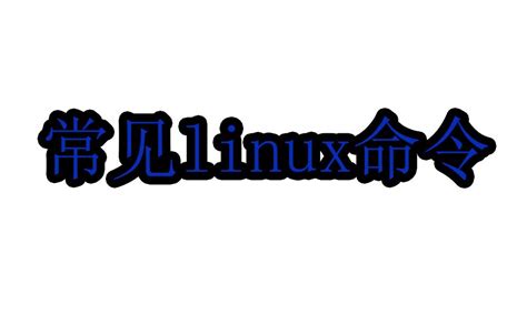 常用的Linux命令有哪些 不念博客