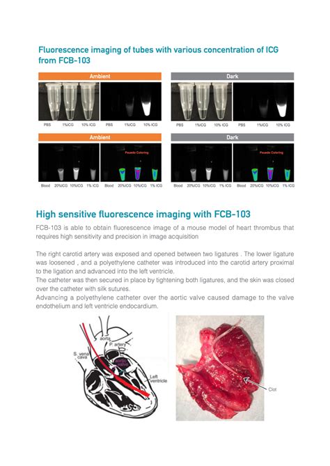 Fluorescence Imaging Device Kr