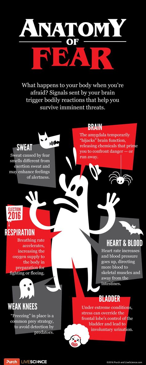 Scary Science How Your Body Responds To Fear Live Science
