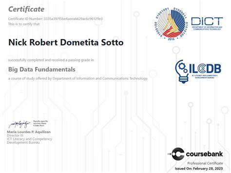 Nick Robert Sotto On Linkedin Bigdata Dataanalytics Data Hadoop