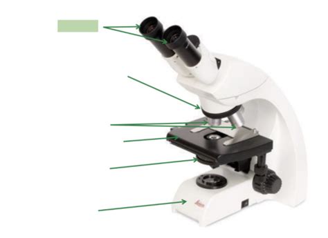 A3 Microscope Review Flashcards Quizlet
