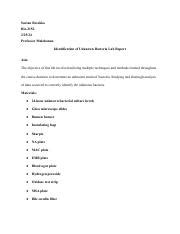 Identification Of Unknown Bacteria Using Lab Techniques Course Hero