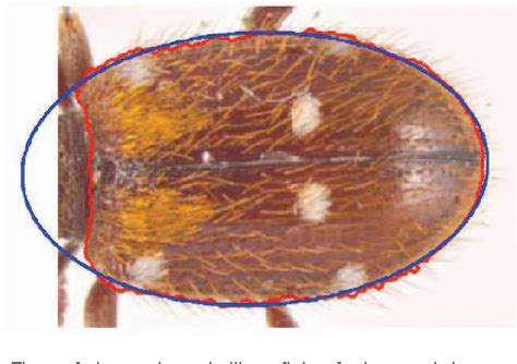 Figure 3 From Primitive Based 3d Structure Inference From A Single 2d