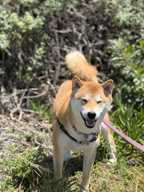 Breaking The Unreal Look Implementing A Custom Cel Shading Model In Unreal Engine Medium