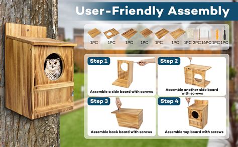 Owl Houses Nesting Boxes Screech Owl Nesting Box