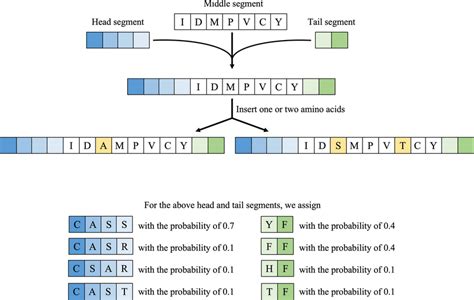 Simulation Scheme For Generating Tcr Cdr3 Sequences The Yellow Boxes Download Scientific