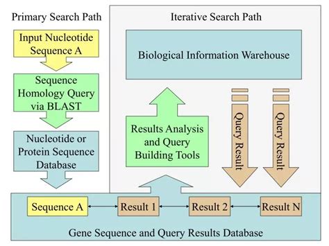 Ppt Gene Sequence And Query Results Database Powerpoint Presentation