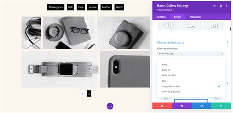 Divi Plugin Highlight Divi Elastic Gallery