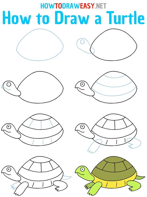 How To Draw A Turtle Artofit