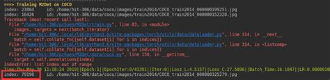 How To Deal With Train Pictures Without Annotations Issue VDIGPKU M Det GitHub