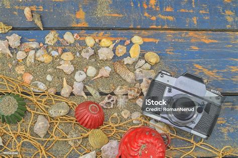 파란색 배경에 바다 조개입니다 여름 시간입니다 다양 한 조개와 빈티지 카메라 바다 휴가 배경 텍스트에 대 한 장소입니다 디자인을 하다 공간에 복사 합니다 최고의 볼 수