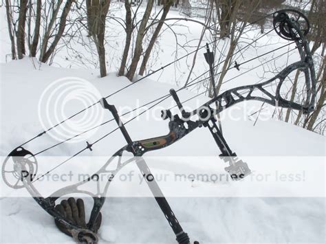 Bowtech Sentinel FLX Archery Talk Forum