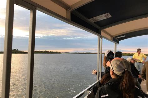 Tripadvisor Wildtiertour Durch Die Indian River Lagoon Mit Erfahrenem