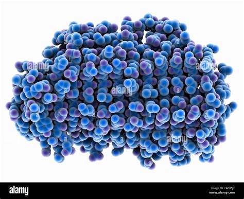 Streptococcus Bacterial Surface Protein Molecular Model Of A Surface