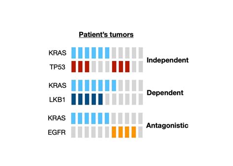 Projects — Feldser Laboratory