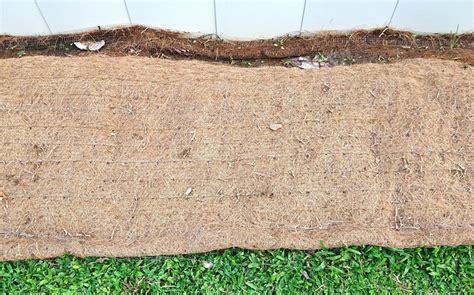 How To Stop Erosion In Your Yard 7 Expert Tips House Grail