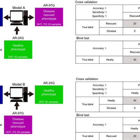 Concept And Performances Of Phenotype Classification Trained With