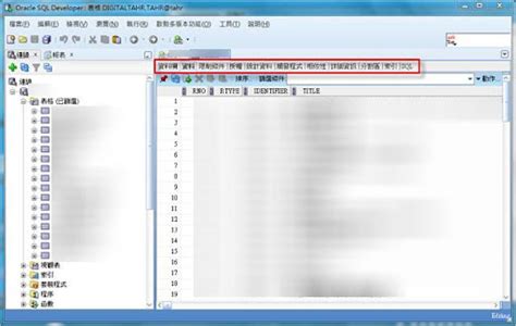 官方 Client Oracle Sql Developer 安裝教學 記下來