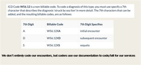 Lecture 02 Basics Of Icd 10 Coding Flashcards Quizlet