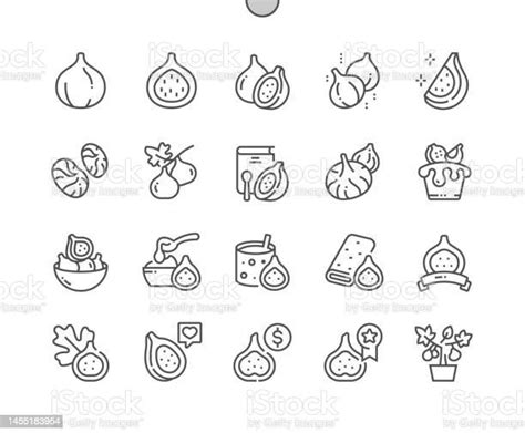 무화과 여름 열대 과일 전체와 반 무화과 식품점 슈퍼마켓 무화과 스무디 픽셀 완벽한 벡터 얇은 선 아이콘입니다 간단한 최소 픽토그램 무화과에 대한 스톡 벡터 아트 및 기타