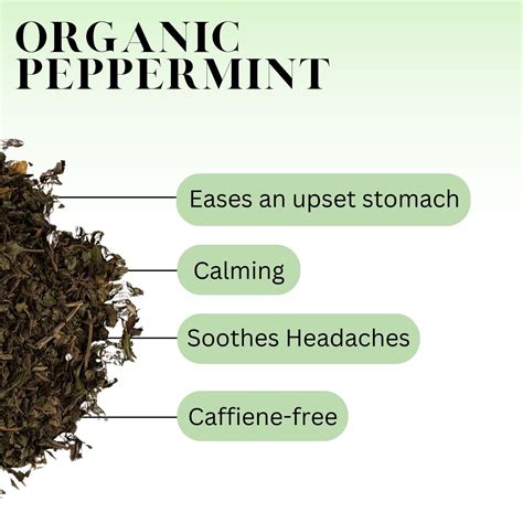 What Is Peppermint Tea History Benefits And More Full Leaf Tea Company