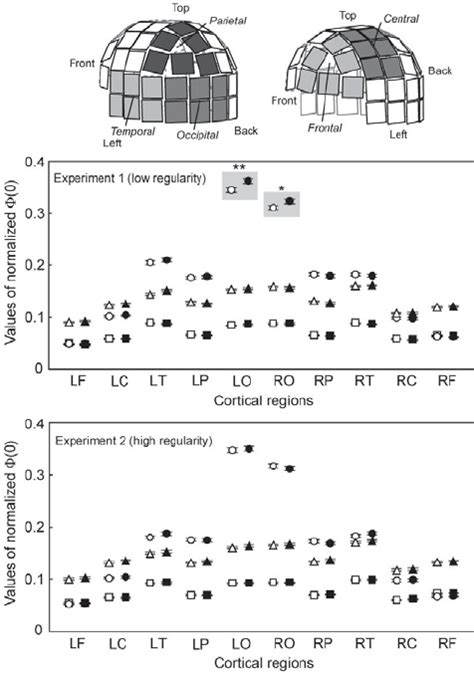 The Meg Sensor Arrays Viewed From The Left Posterior And Left Anterior Download Scientific