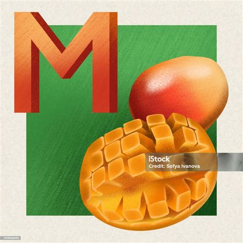 손으로 그리기 감촉 감촉 의 과일 알파벳 M 문자망고 인쇄 직물 카드 포스터 학교 유치원 어린이 교육 어린이 책 브로셔에 사용 0명에 대한 스톡 벡터 아트 및 기타 이미지