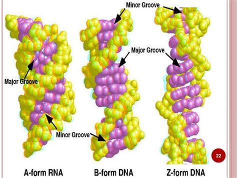 Configuration And Conformers Of Biomolecules Pptx Chemistry Science