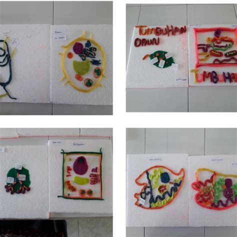 An Example Of A Cell Shape Created By A Student Download Scientific