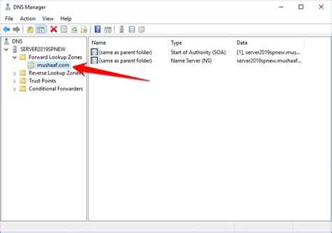 How To Add Dns Forward Lookup Zone In Windows Server 2016 2019