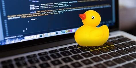 the weirdest programming principles you ve never heard of rubber duck debugging rubber duck