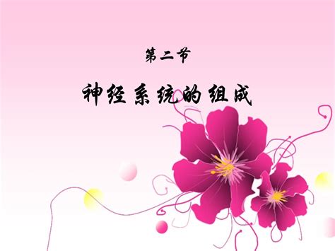 初中生物七年级下第六章第2节 神经系统的组成ppt