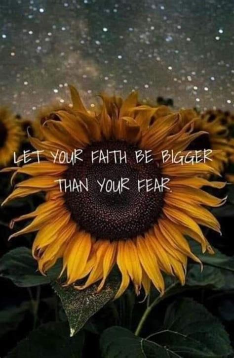 Sunflower With Inspirational Quote Daily Motivation Wallpaper